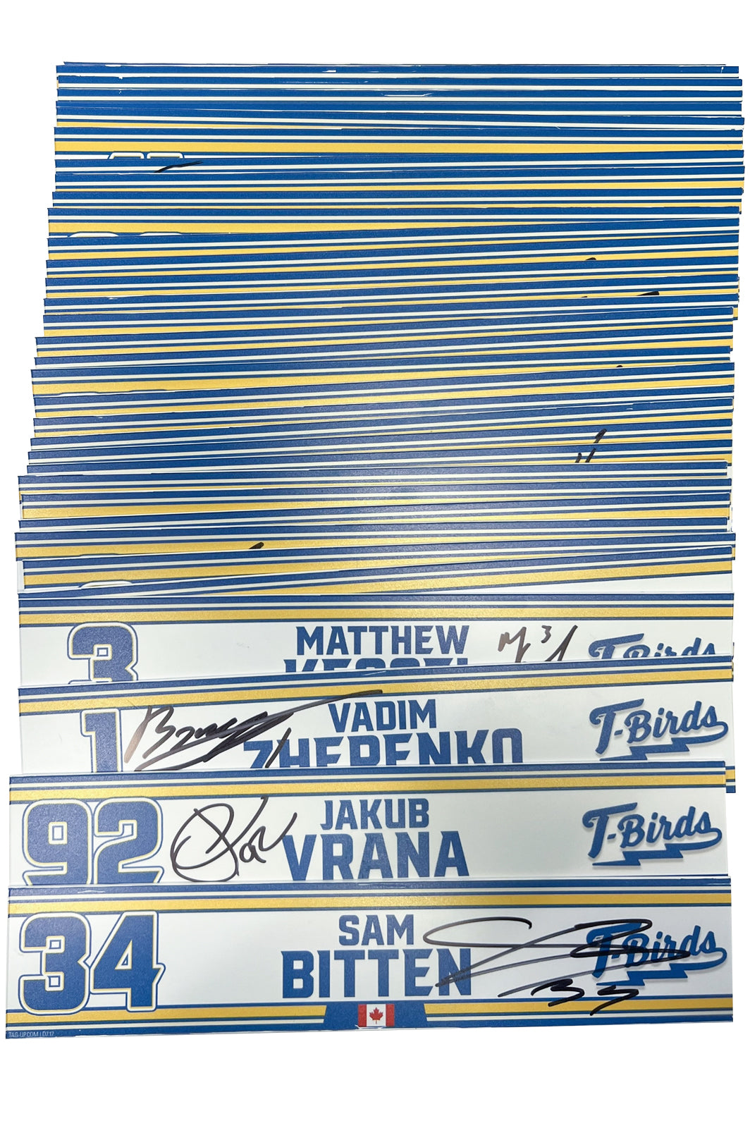 Locker Nameplates - Springfield Thunderbirds – Springfield Thunderbirds ...